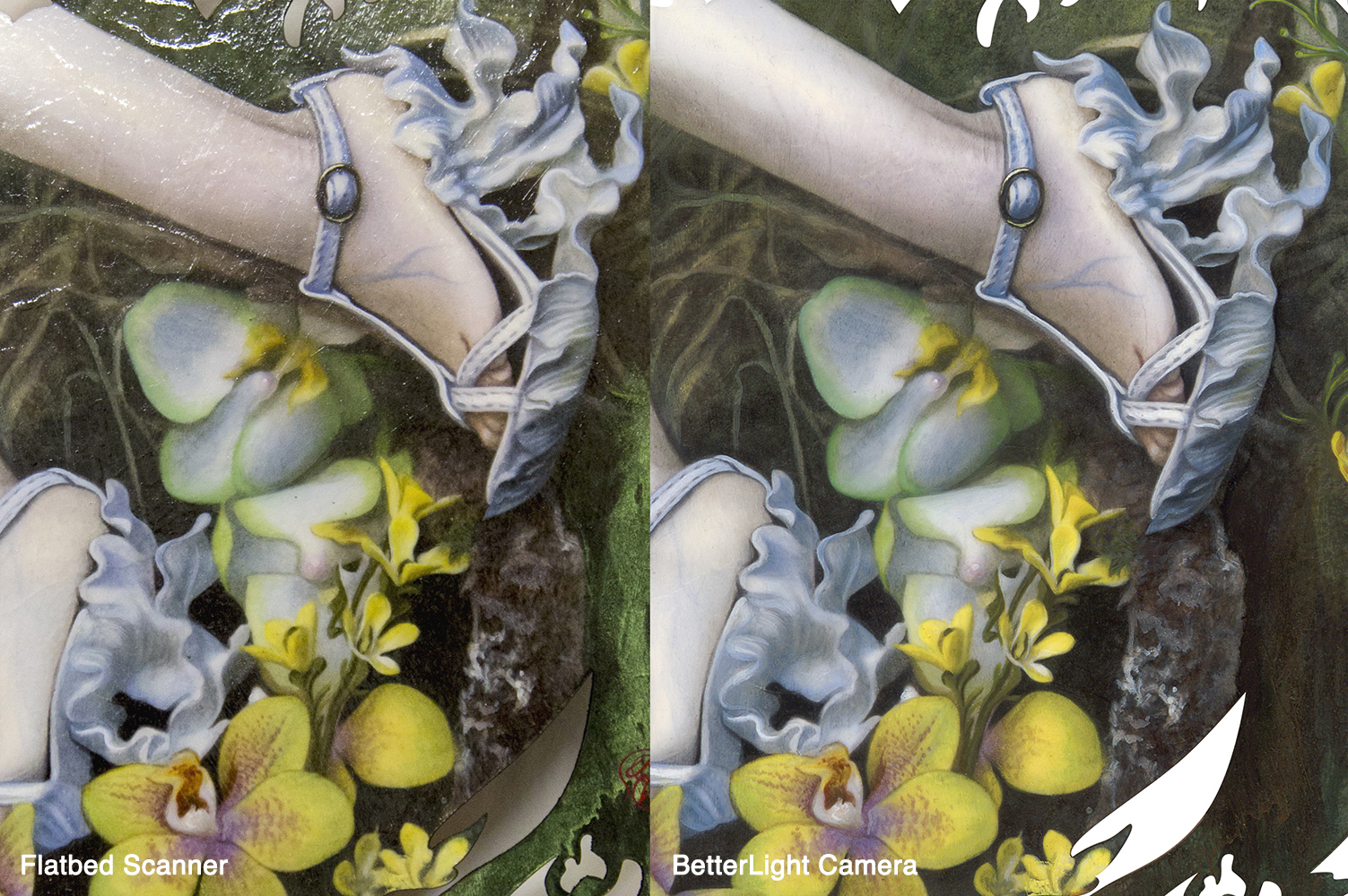 Fine Art Scanning - Bellevue Fine Art Reproduction